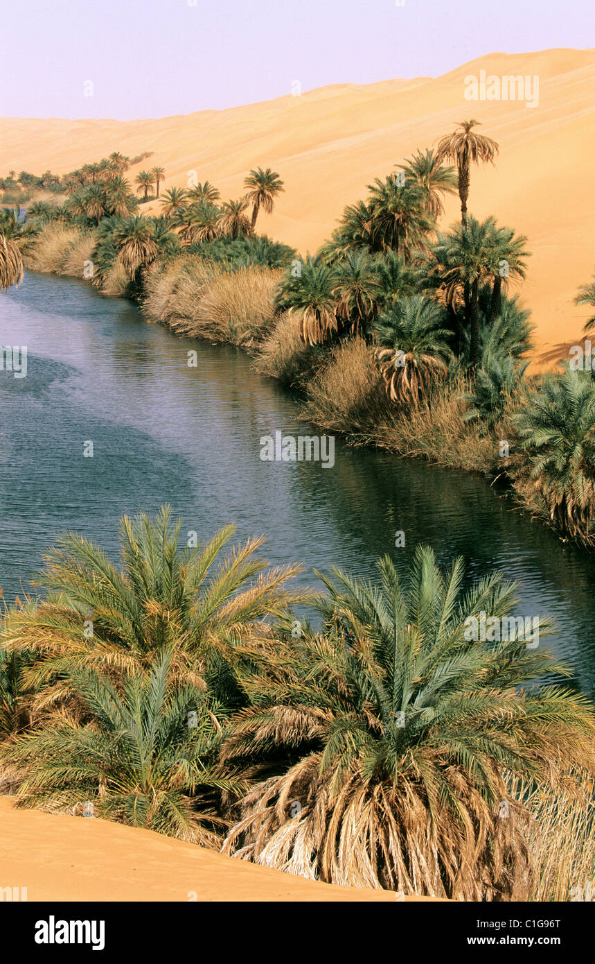 Libya, the Sahara, the Umm el Maa salty lake in the heart of the Ubari ...
