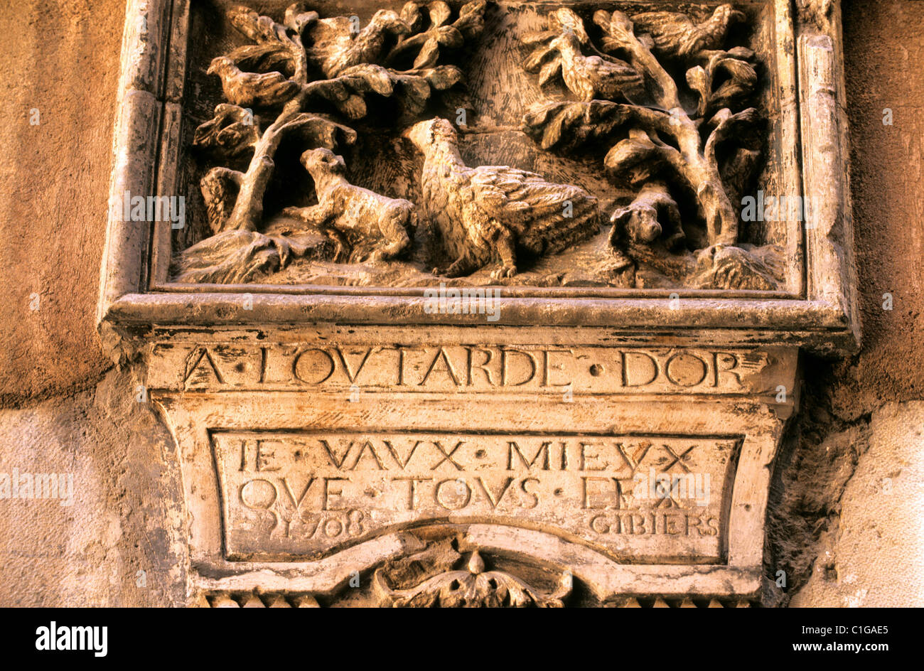 France, Rhone, Lyon, sign of the house l’Outarde d’Or, rue du Boeuf ...