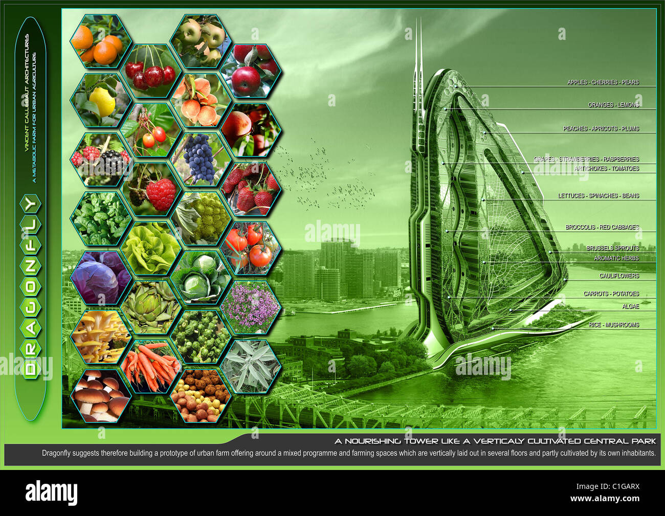 SKY HIGH VEG Architects are hoping to light up New York City's skyline ...