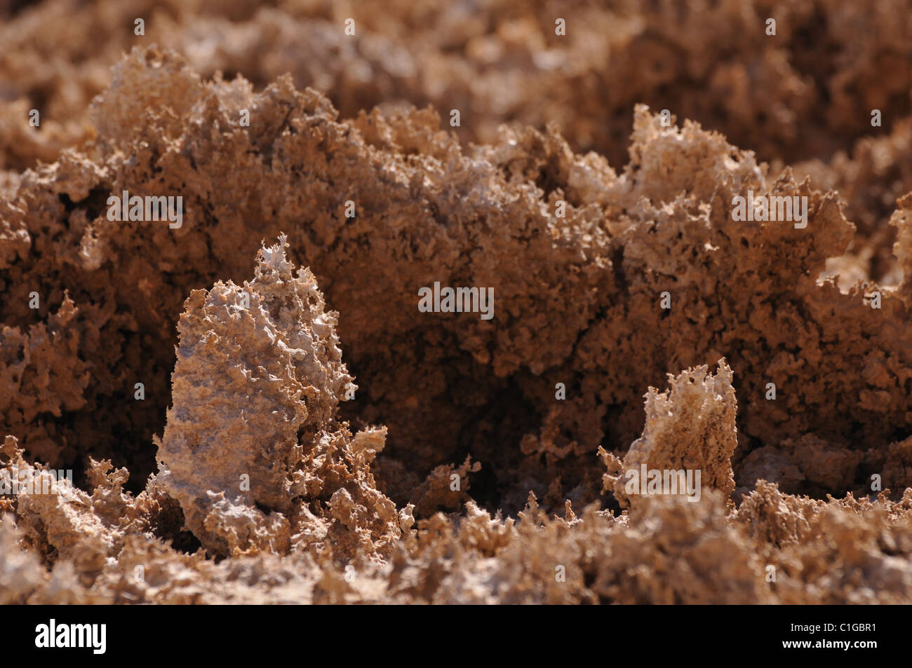 Natron mineral hi-res stock photography and images - Alamy