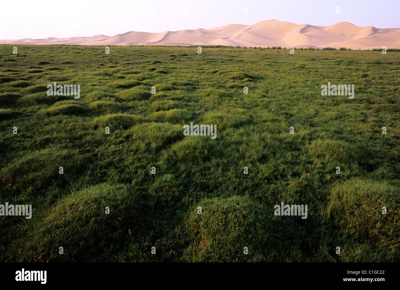 Mongolia, Omnogobi province, Gobi desert, the sand dunes of Khongoryn ...