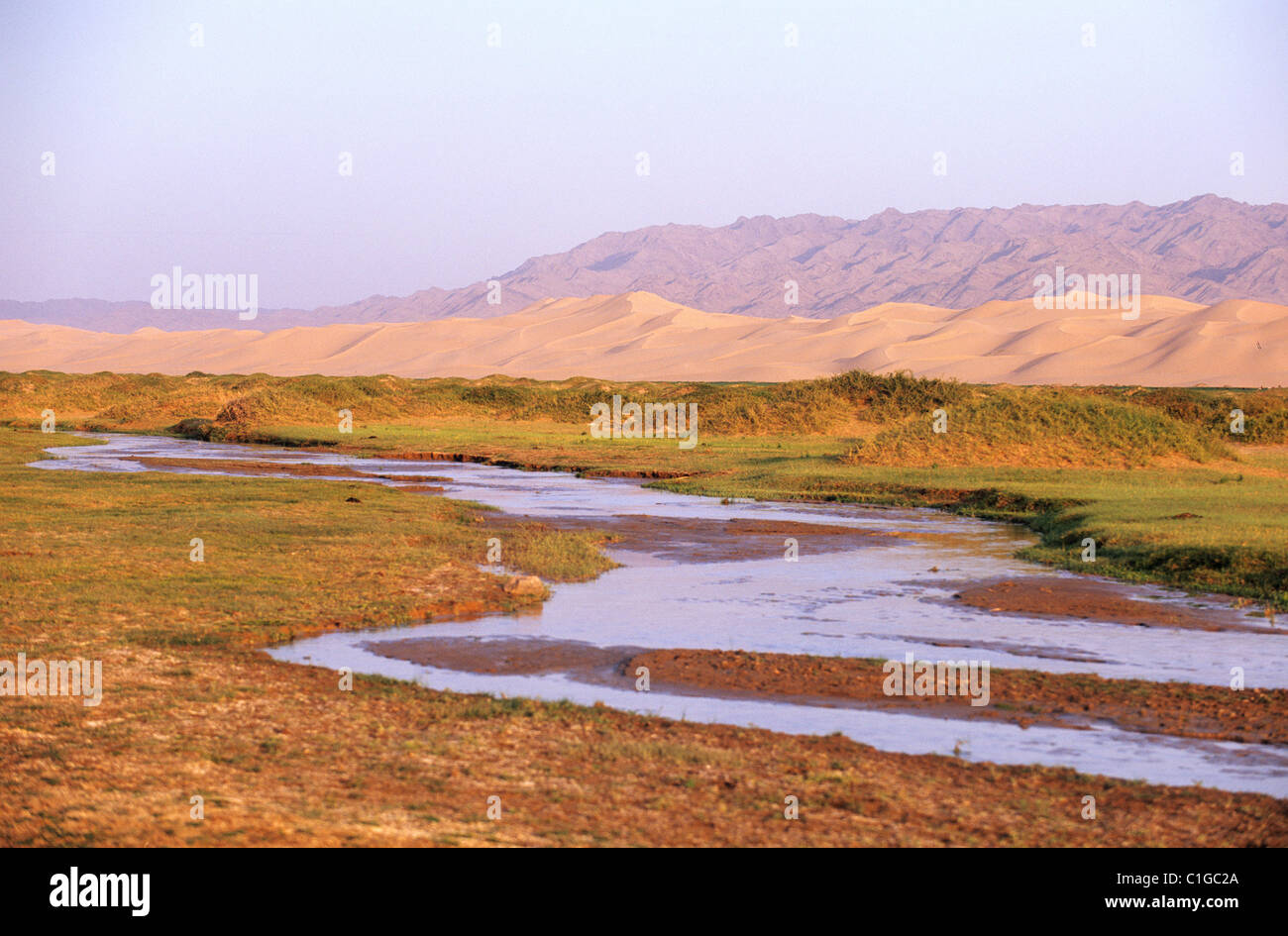 Mongolia, Omnogobi province, Gobi desert, the sand dunes of Khongoryn ...