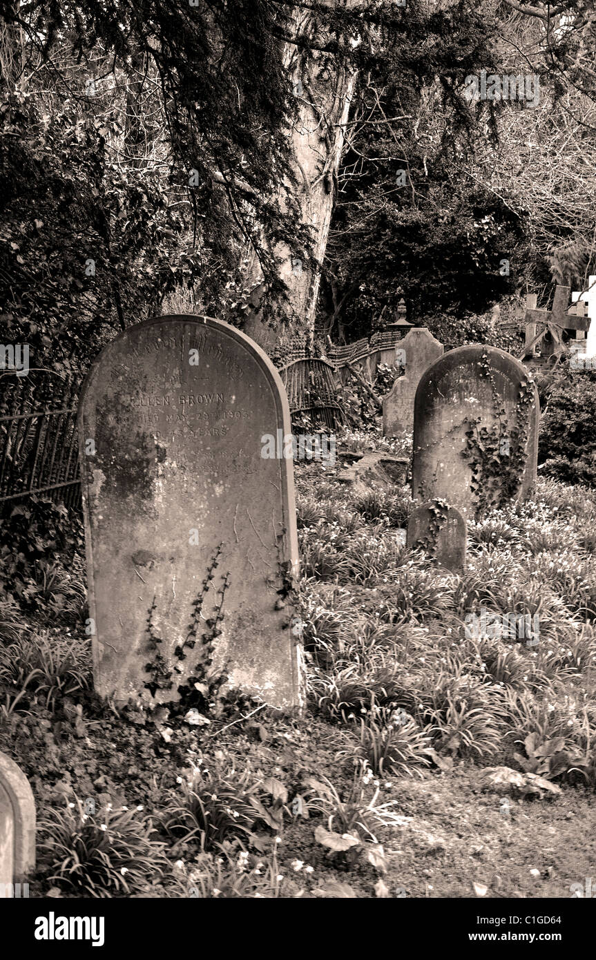 Gravestone images hi-res stock photography and images - Alamy
