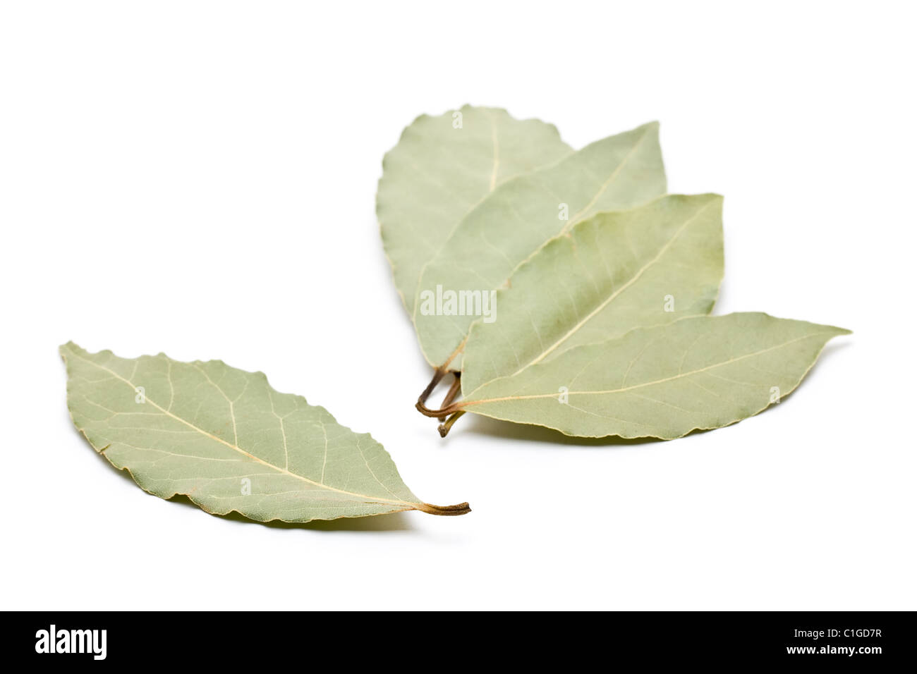 Dried organic bay leaves over white background Stock Photo - Alamy