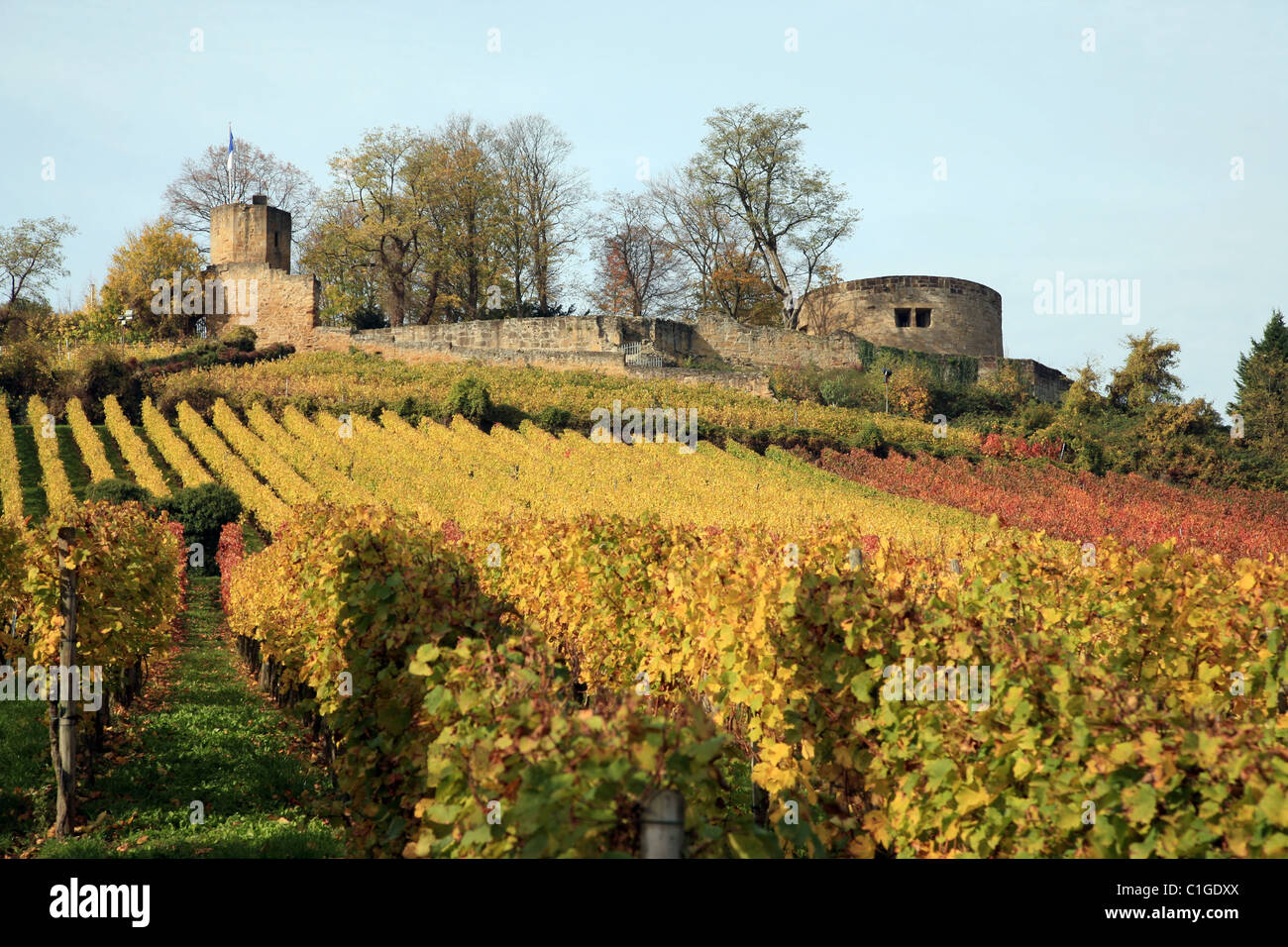 Old vineyard castle hi-res stock photography and images - Alamy