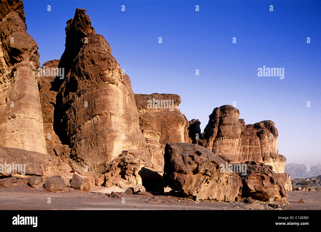 Desert of neguev hi-res stock photography and images - Alamy