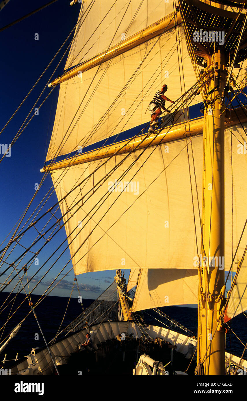 Caribbean sea, the five masted ship SPV Royal Clipper with every sail ...