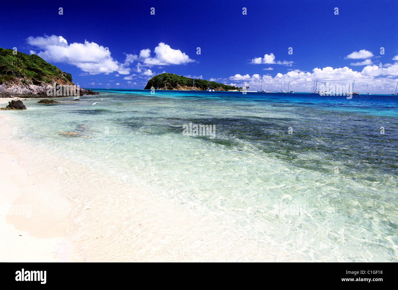 Caribbean sea, St Vincent and the Grenadines, Tobago Cays archipelago ...