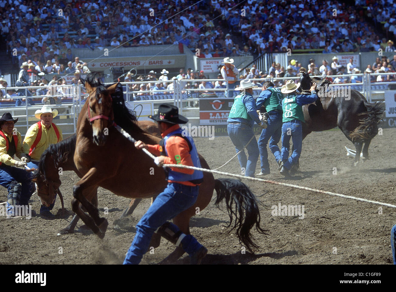 American performance horseman rodeo hi-res stock photography and images ...