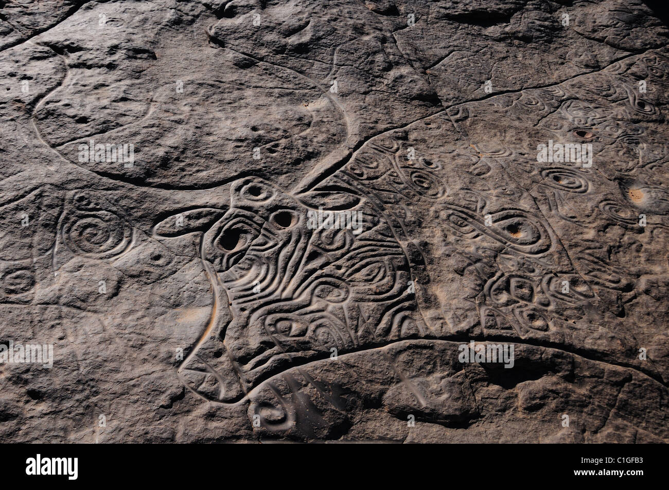 Neolithic cow hi-res stock photography and images - Alamy