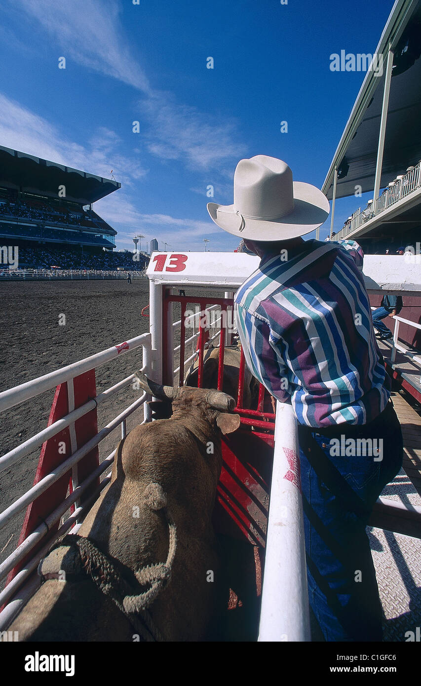The stampede hi-res stock photography and images - Alamy