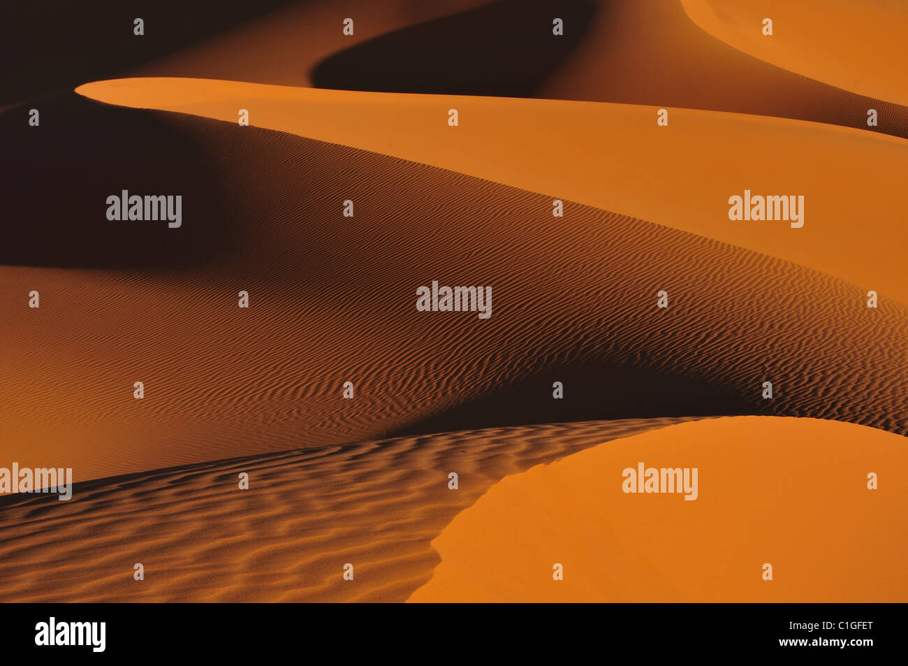 Dune sa hi-res stock photography and images - Alamy