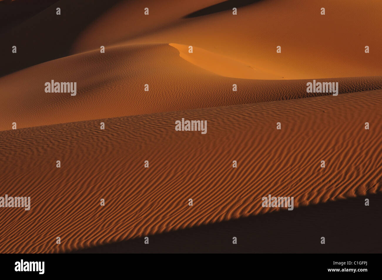 Dune structures hi-res stock photography and images - Alamy