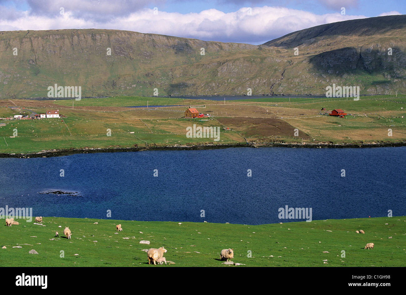 United Kingdom, Scotland, Shetland Islands, West coast of Mainland ...