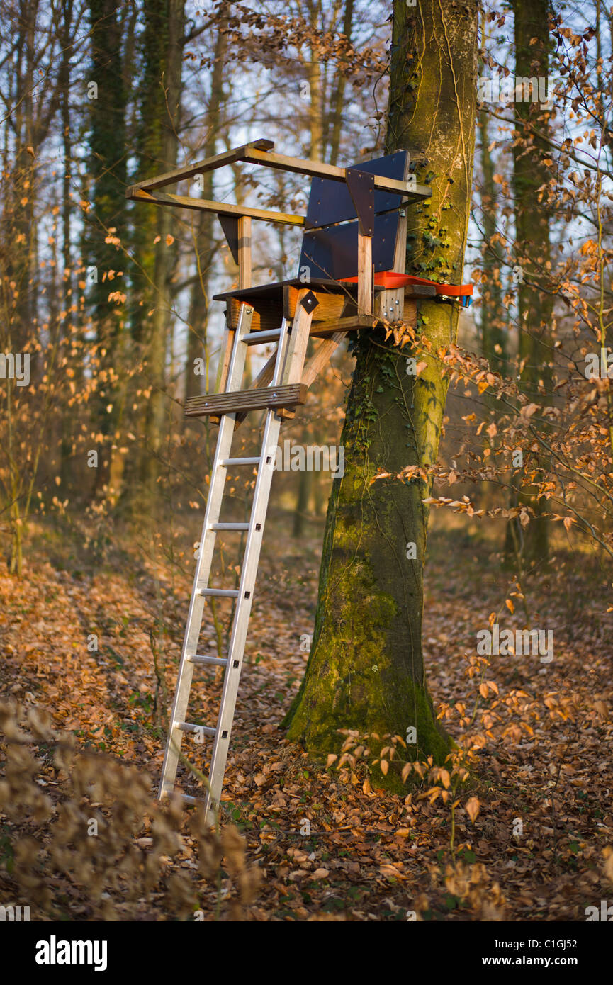 Hunter s tree stand near Karlsruhe Germany Stock Photo - Alamy