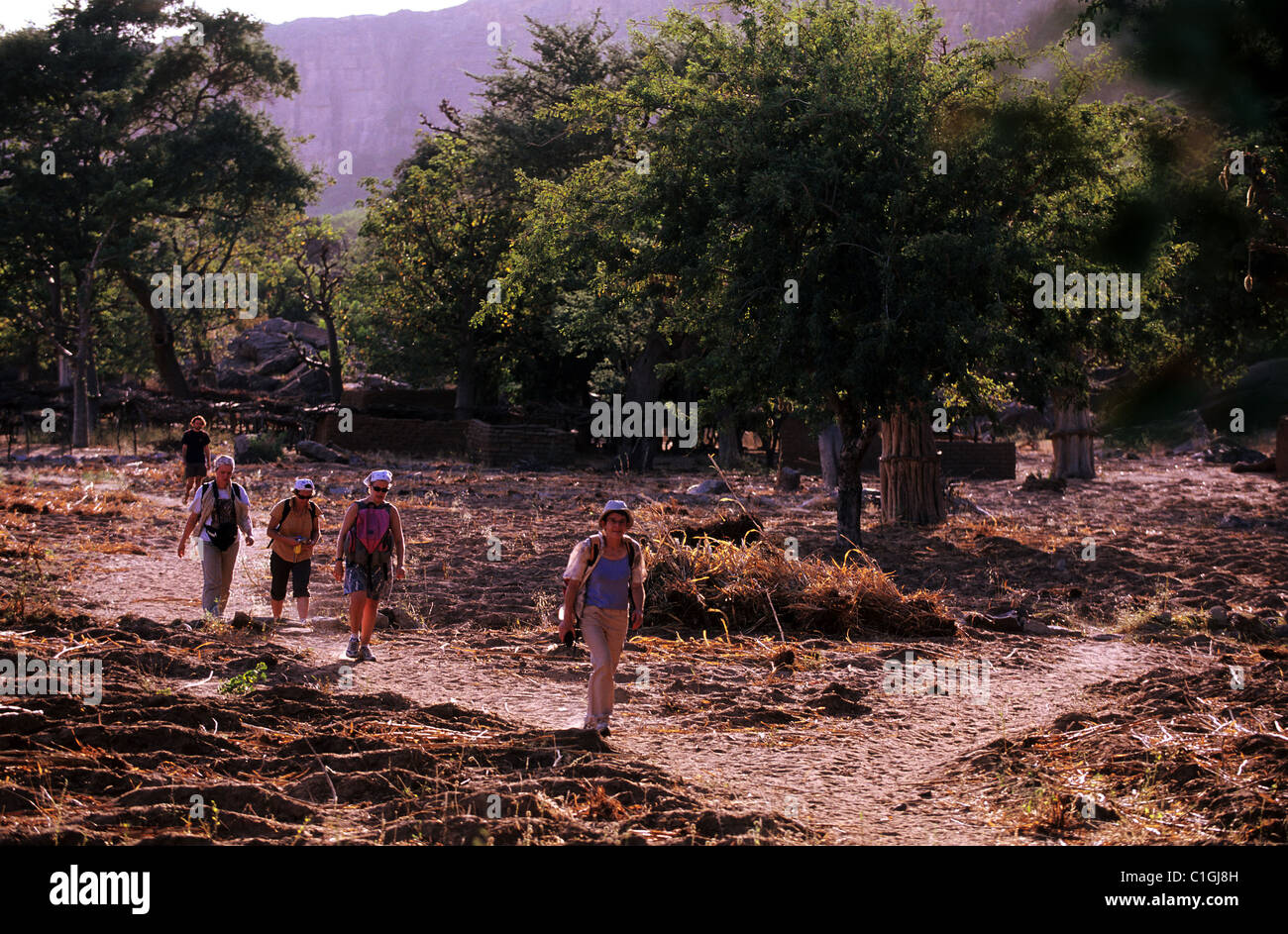 Mali, Dogon country, hiking at the bottom of the Bandiagara cliff Stock ...