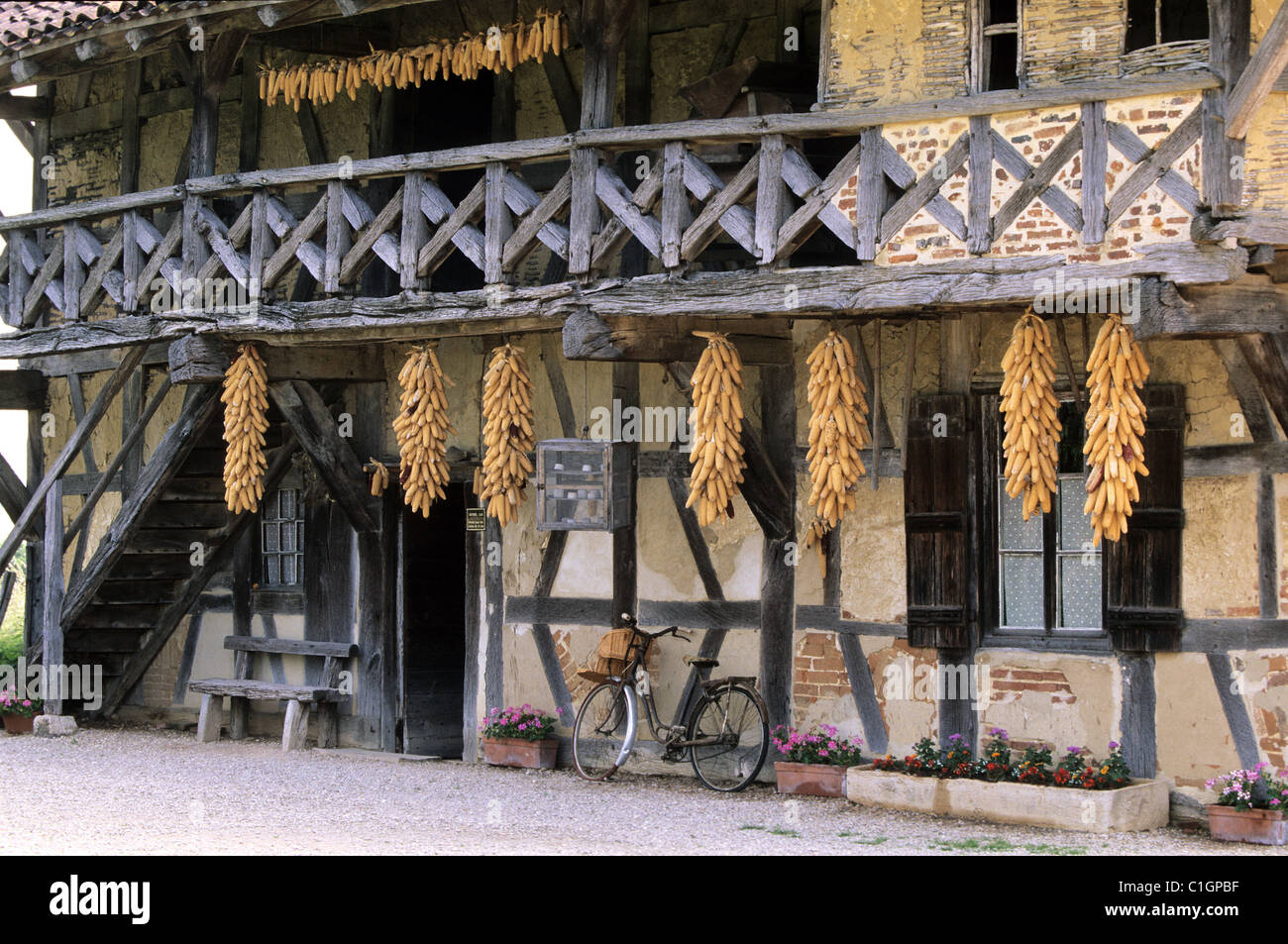 France, Ain, Bresse region, Saint Trivier, Farm of the Forest museum ...