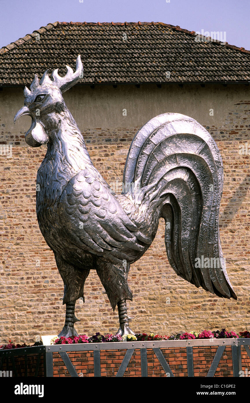 Chicken of bresse region hi-res stock photography and images - Alamy