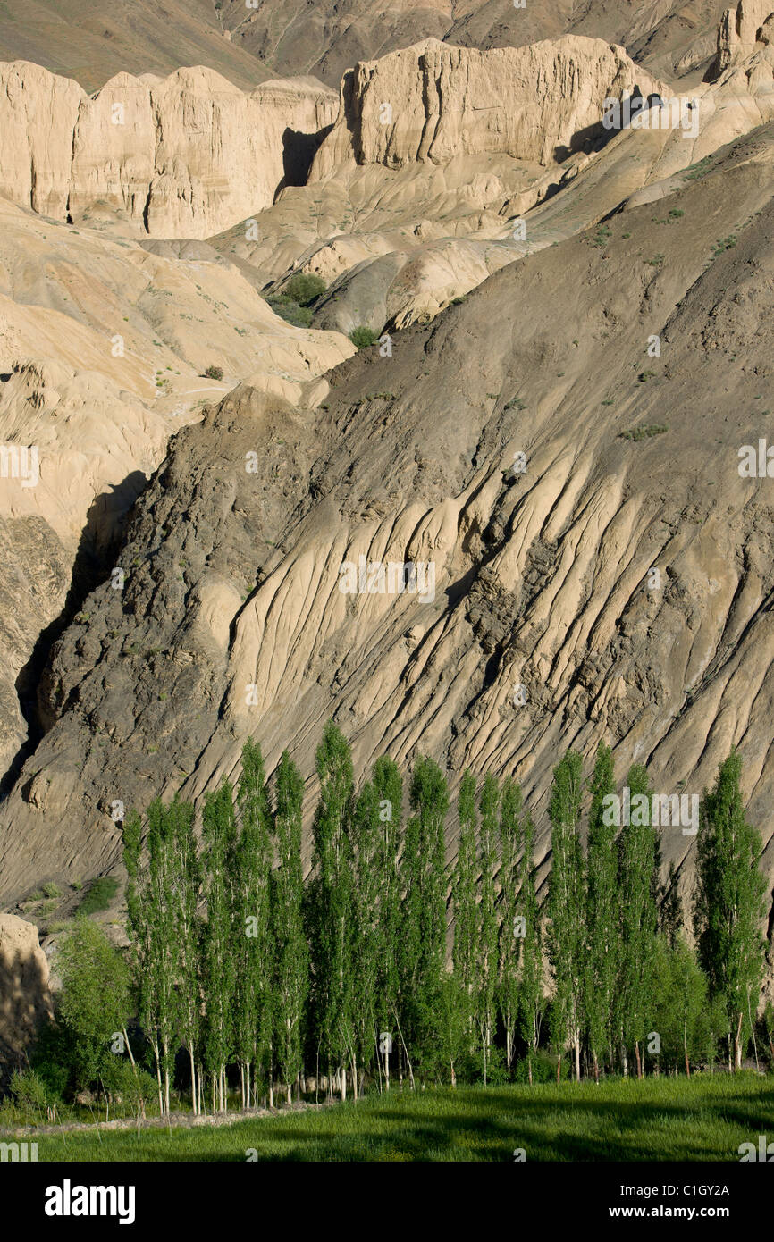 Moonland, a unique landscape near Lamayuru, on the Srinagar-Leh Highway ...