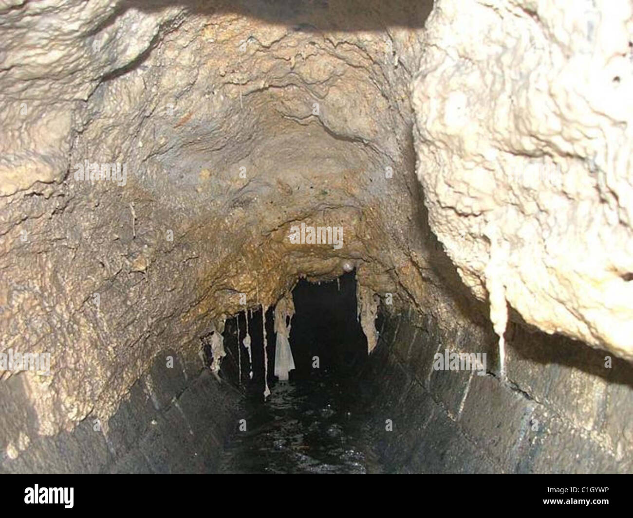 Chef brian turner launches the fat trap hi-res stock photography and ...