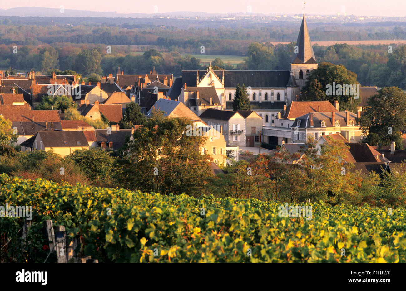 France, Nievre, Pouilly sur Loire, village from its vineyard Stock ...