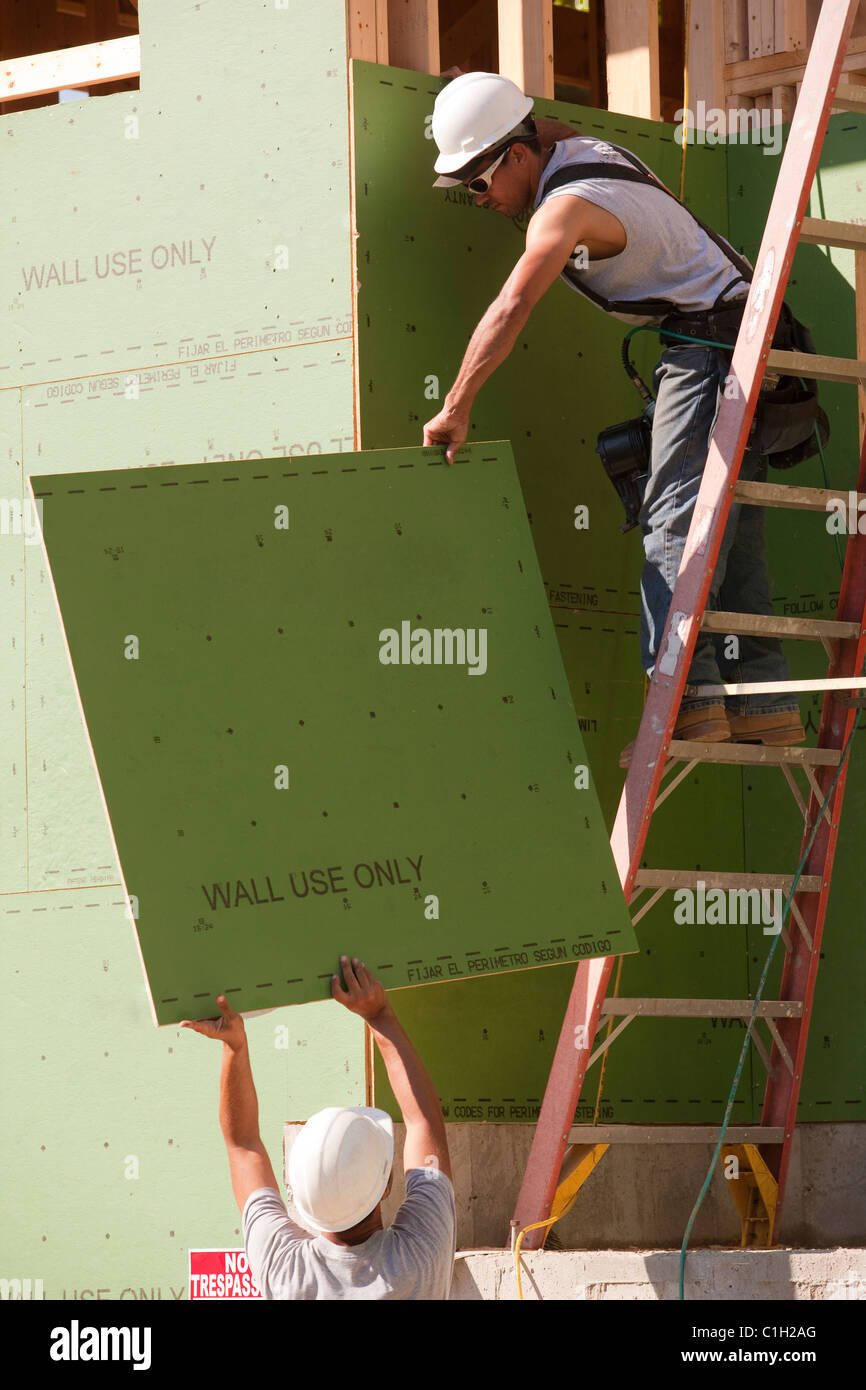Hispanic carpenters pulling exterior sheathing up ladder at a house ...