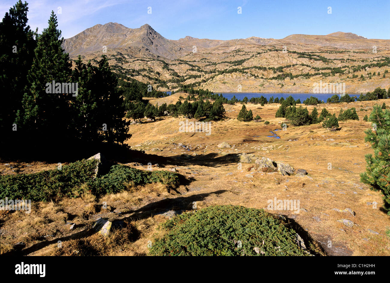 Formigueres hi-res stock photography and images - Alamy