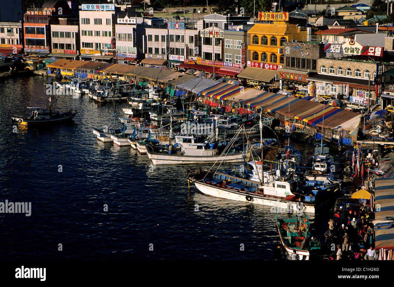 South Korea, province of Gangwon-do, the fishing village of Daepo at ...