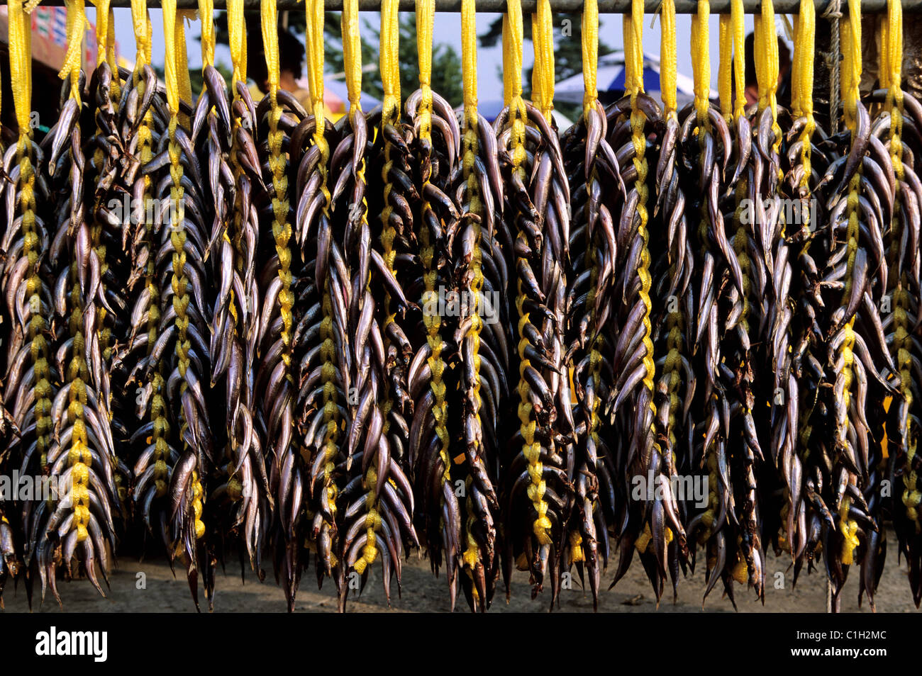 South Korea, Seoul, dried fish Stock Photo - Alamy