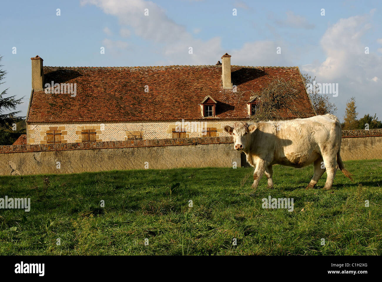 Landscape of bourbonnais sologne hi-res stock photography and images ...