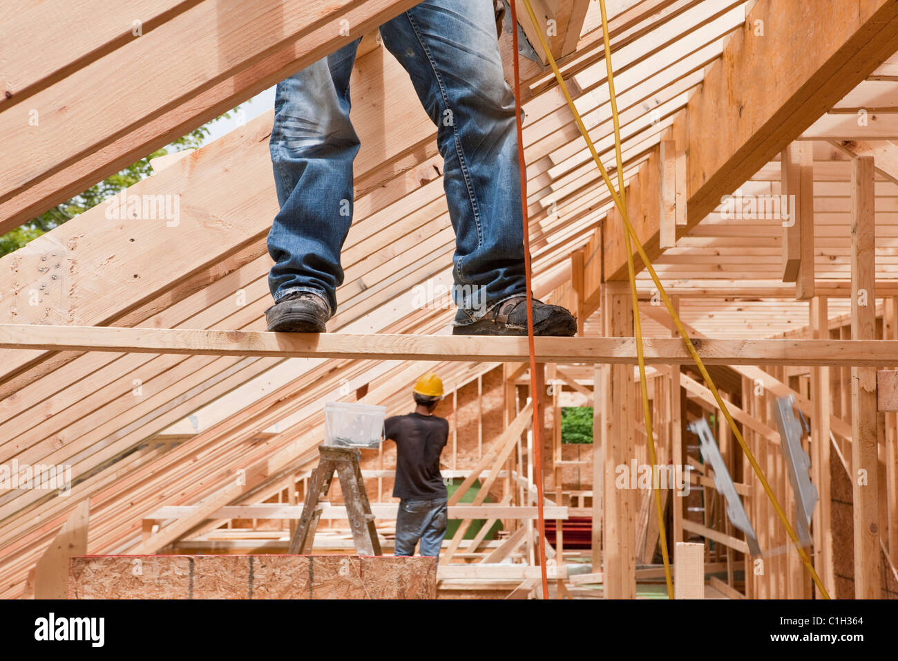 Hispanic carpenters pulling up air hose while standing on support board ...