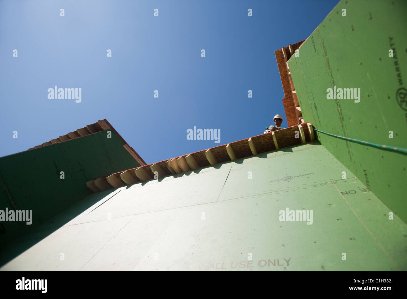 Hispanic carpenter hanging over roof edge at a house under construction ...