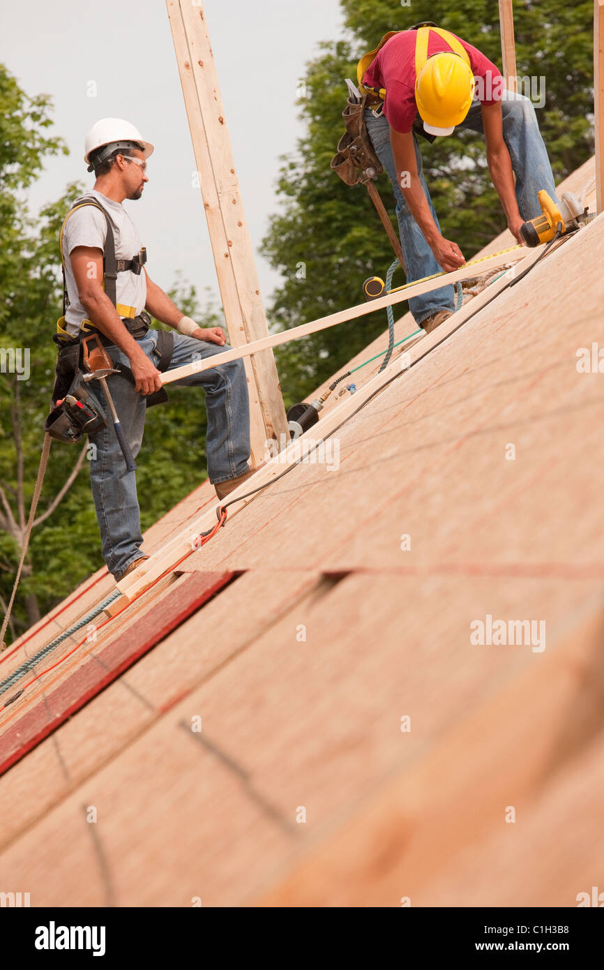 Hispanic carpenters measuring plank on the roof of an under ...