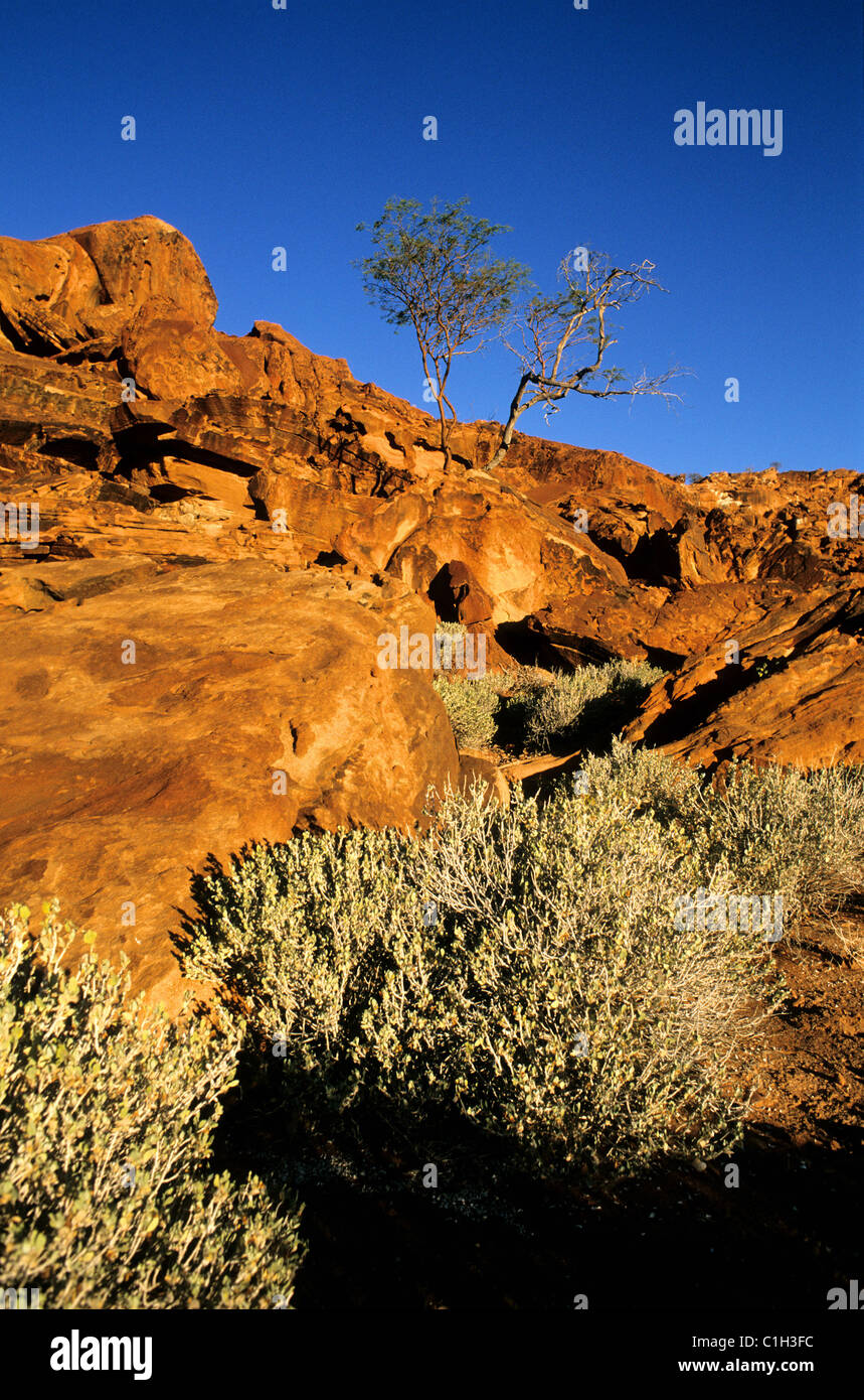 Namibia, lanscape in the Damaraland region Stock Photo - Alamy