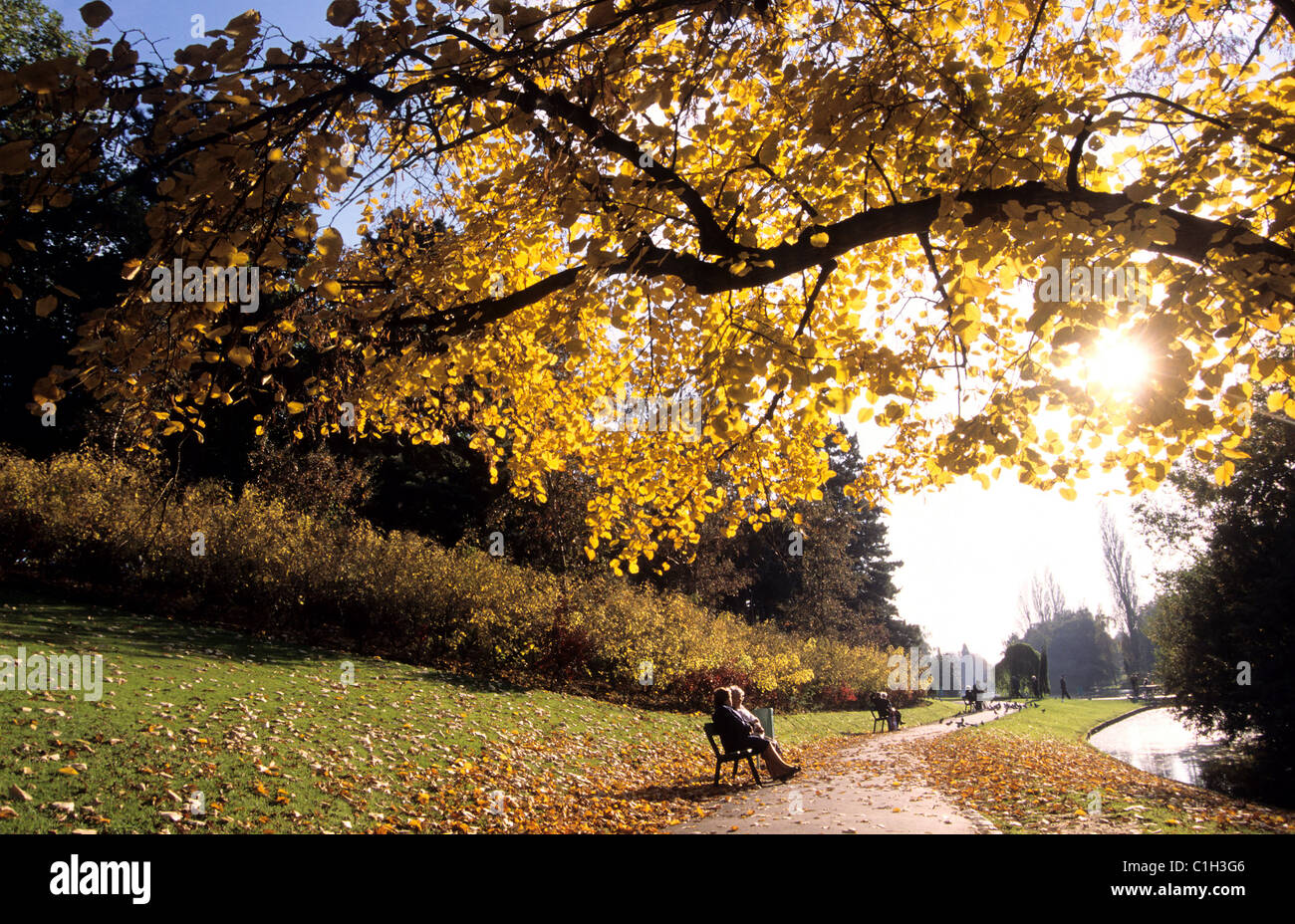 Barbieux hi-res stock photography and images - Alamy