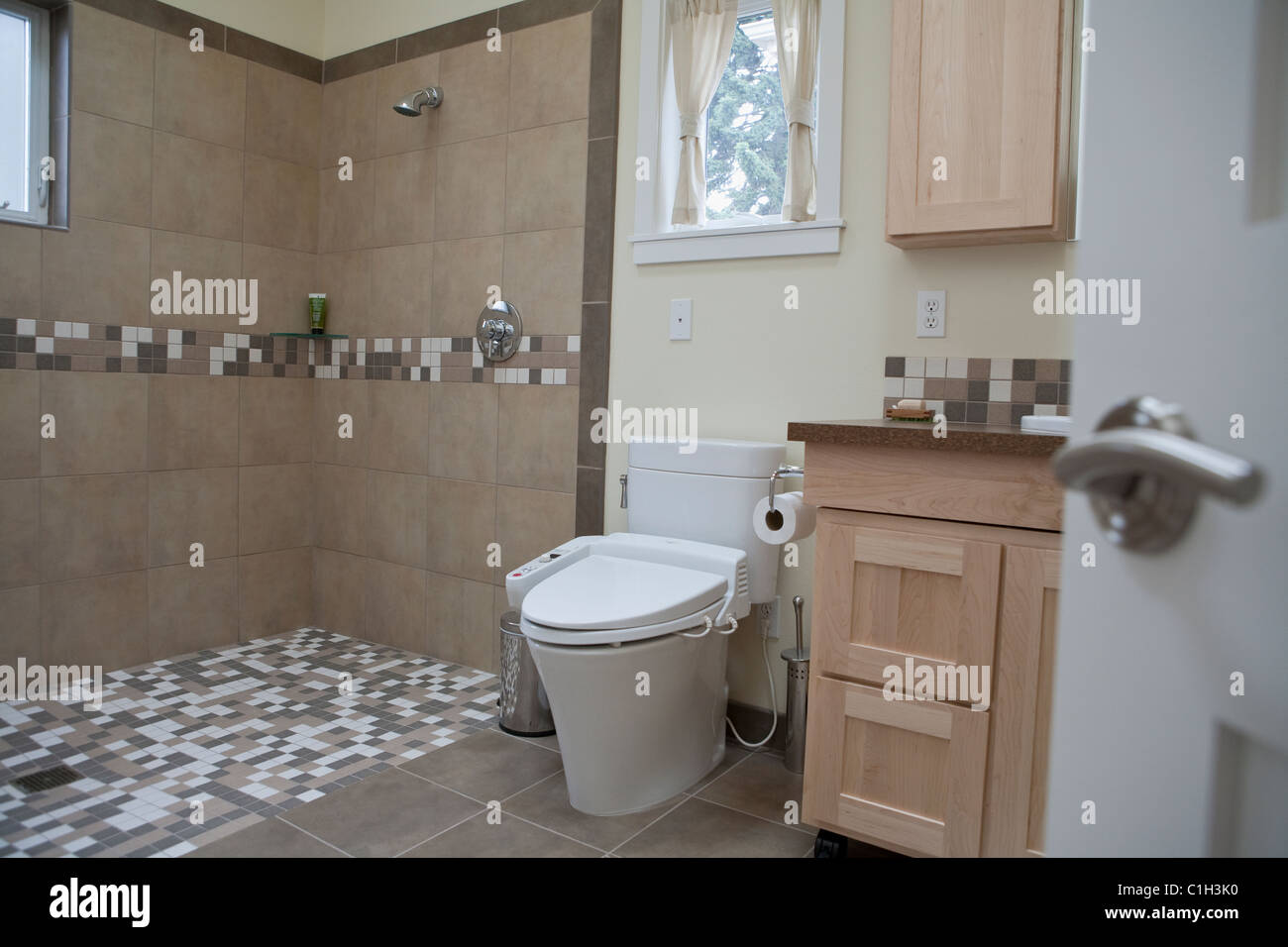 Interiors of a bathroom of an accessible home Stock Photo - Alamy