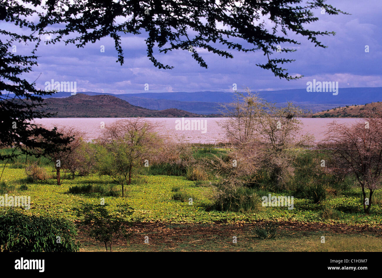 Kenya, Rift valley, Baringo lake Stock Photo - Alamy