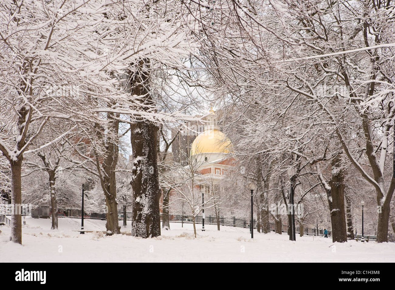 Boston common snow hi-res stock photography and images - Alamy