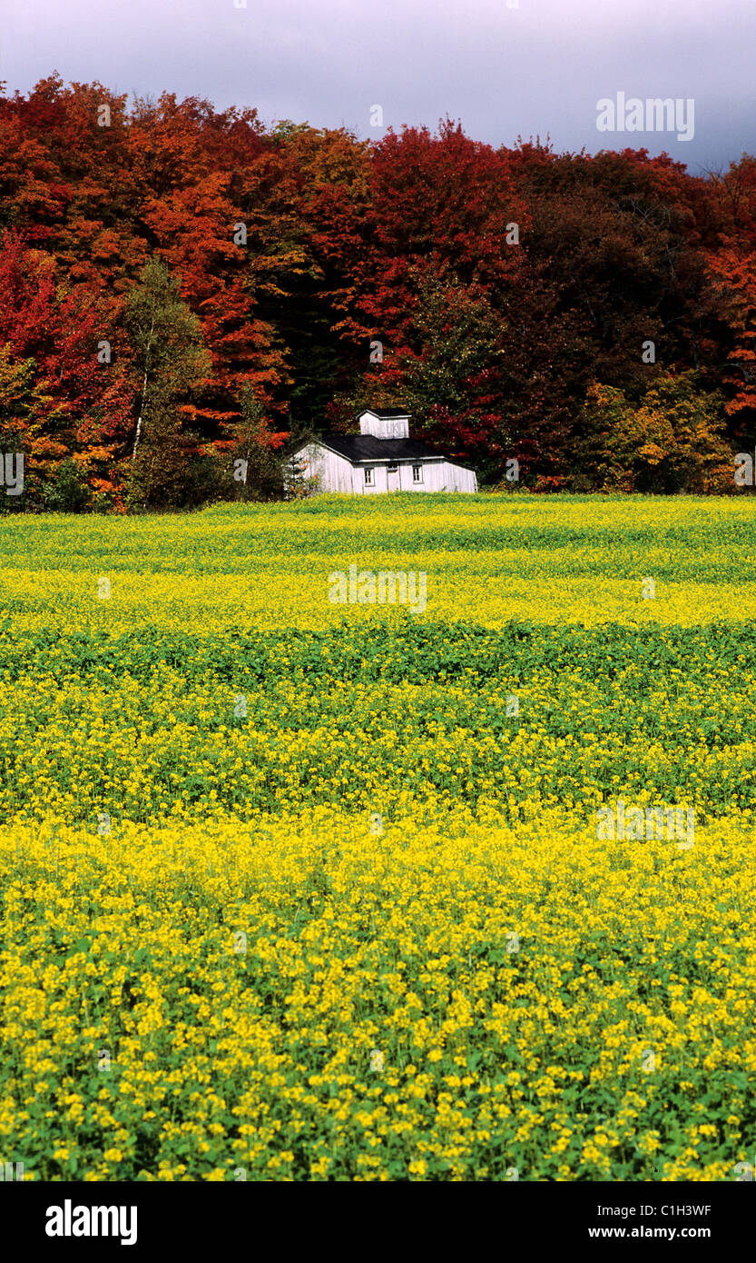 Canada, Quebec, Saint Ubalde Stock Photo - Alamy