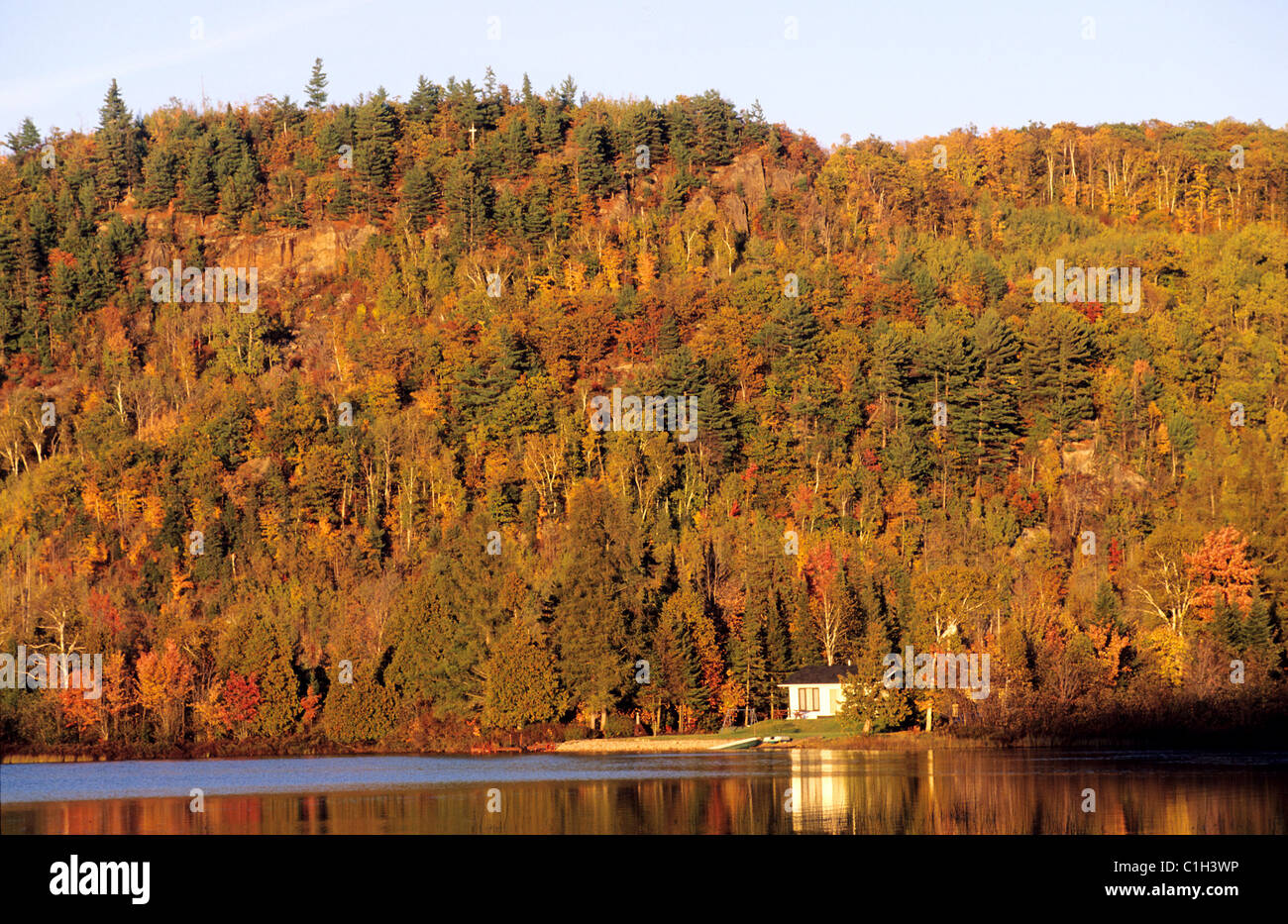 Canada, Quebec, Outaouais region, tree with the colors of the Indian ...