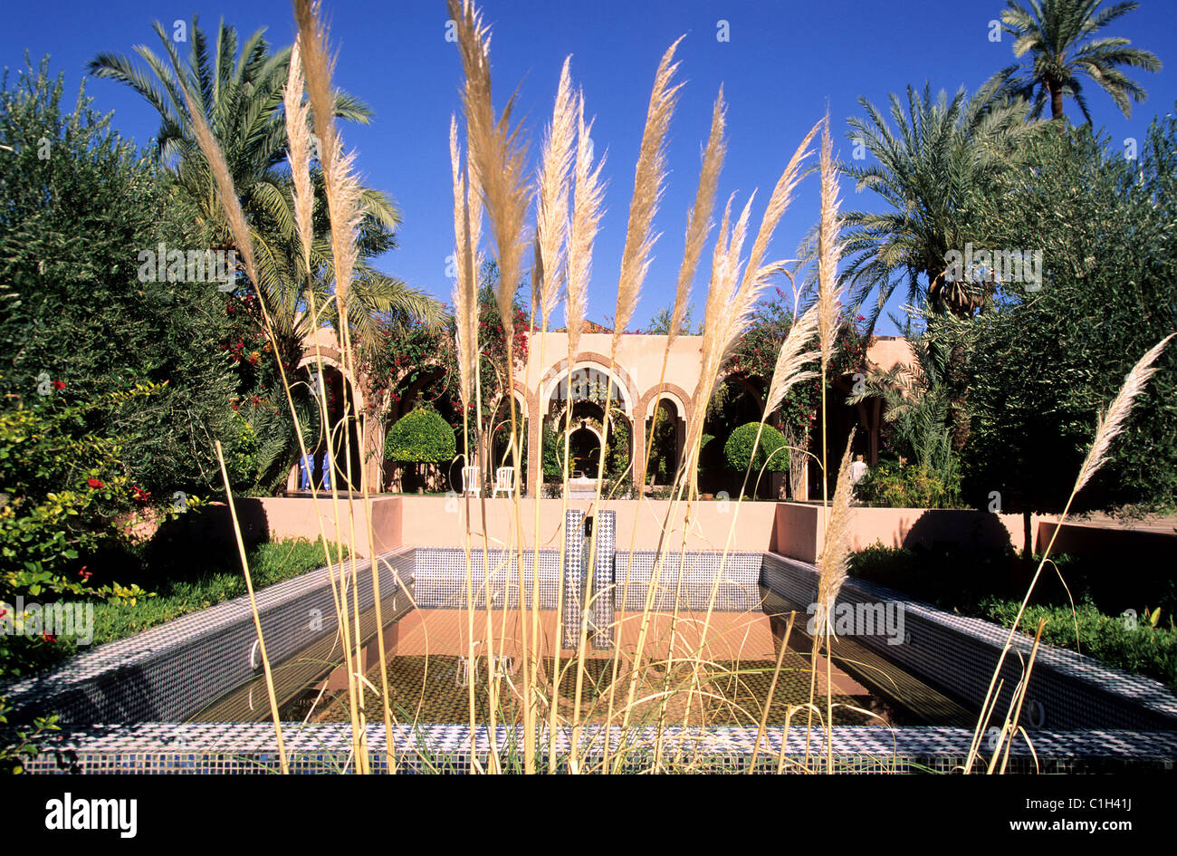 Morocco, traditional garden of a palm plantation in Marrakesh Stock ...