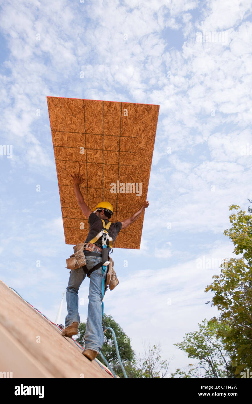 Low angle view of a carpenter lifting a roof panel on the roof of a ...