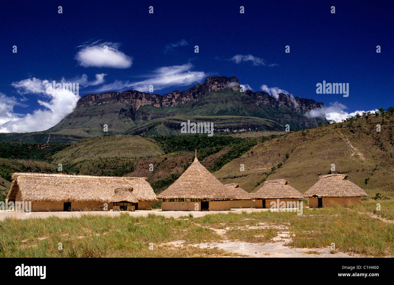 Kavac hi-res stock photography and images - Alamy