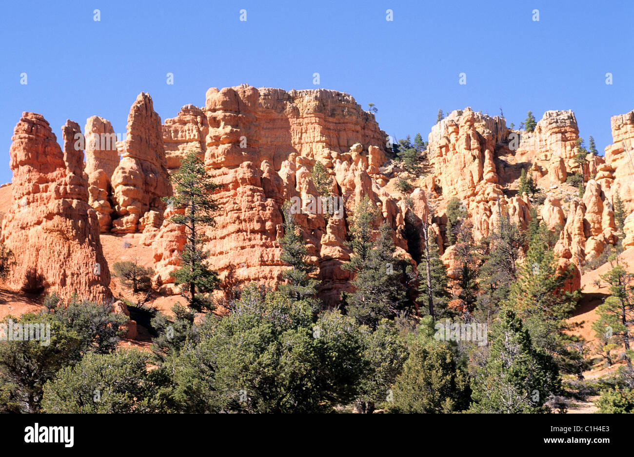 United States, Utah, Red Canyon National Park Stock Photo - Alamy