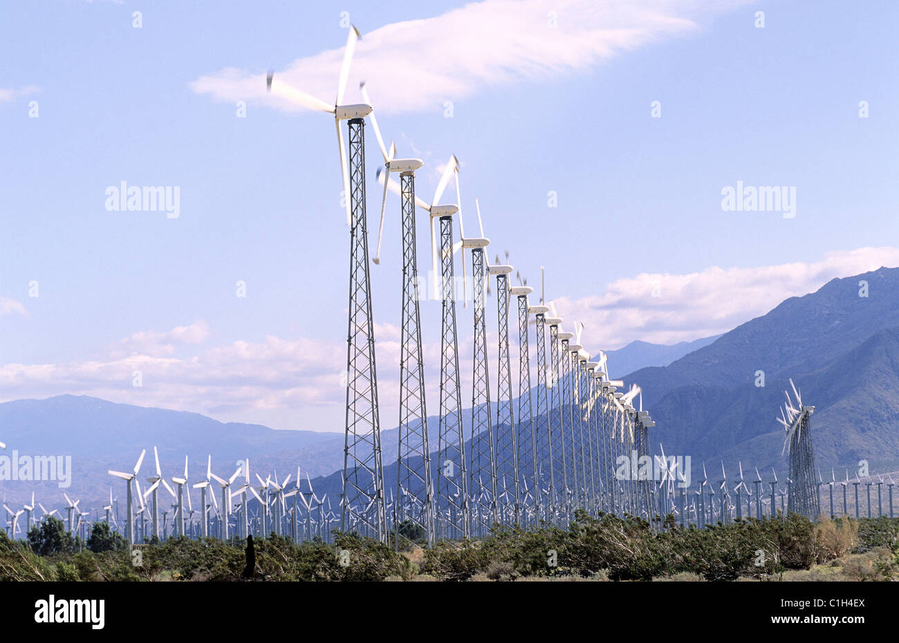 United States, California, fields of wind mills in Palm Springs Stock ...