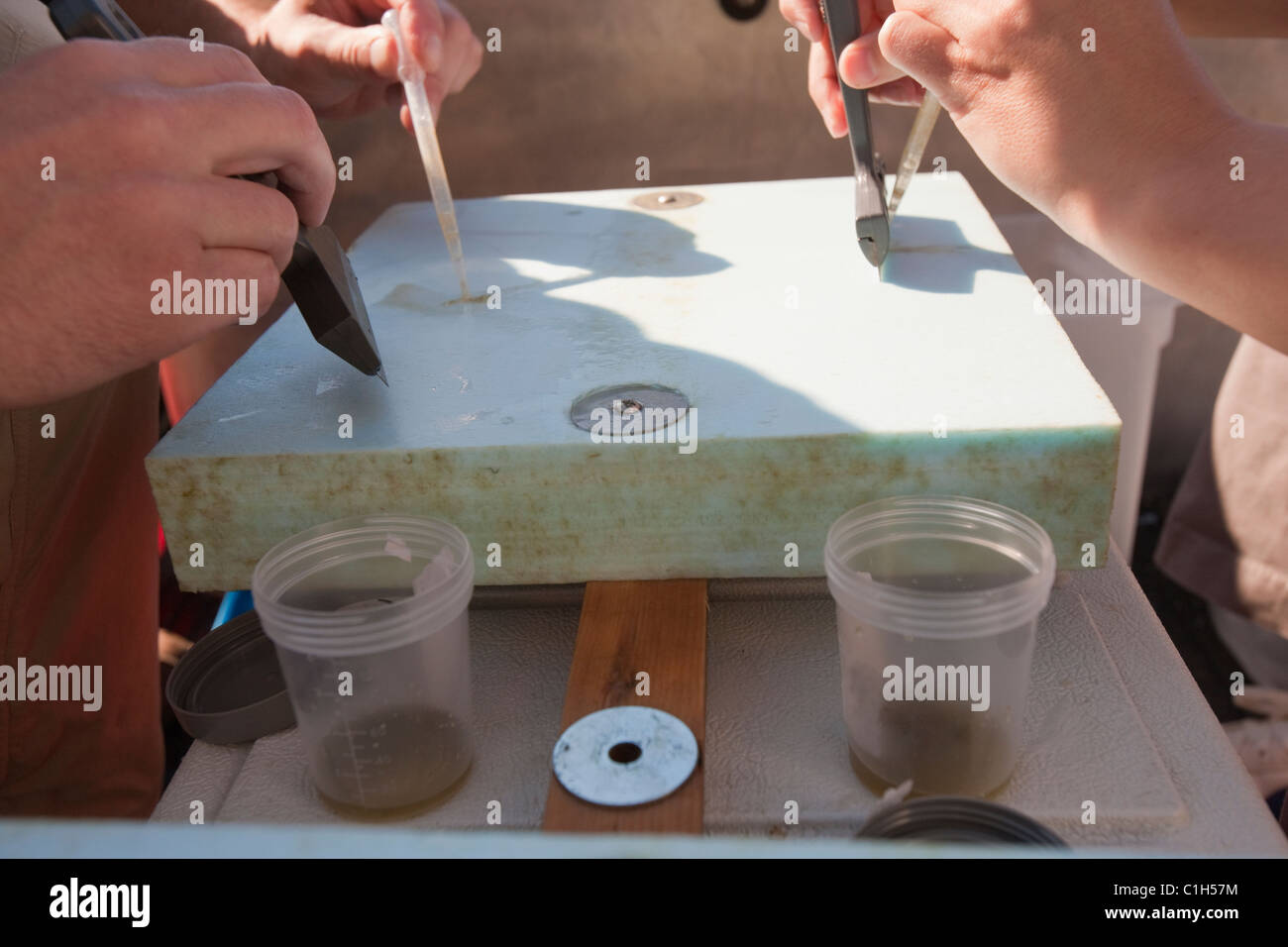 Surface sampling hi-res stock photography and images - Alamy