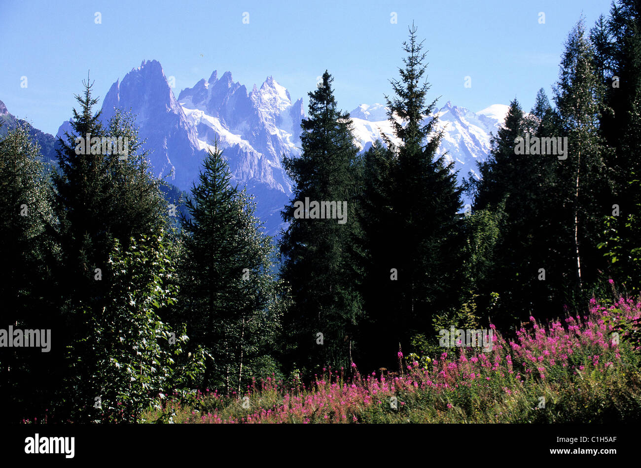 France, Haute Savoie, Mont Blanc country, Aiguilles de Chamonix Stock ...