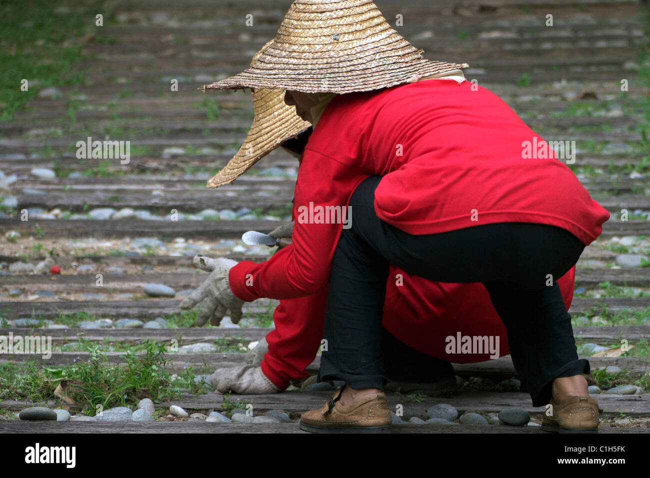 Hard work in gardening High Resolution Stock Photography and Images - Alamy