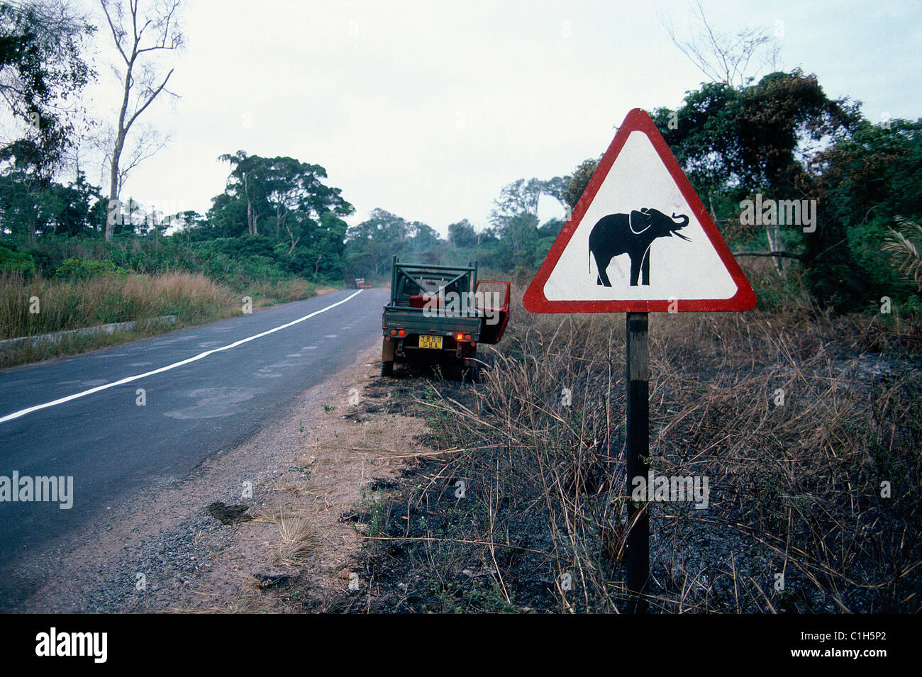 Gamba gabon hi-res stock photography and images - Alamy
