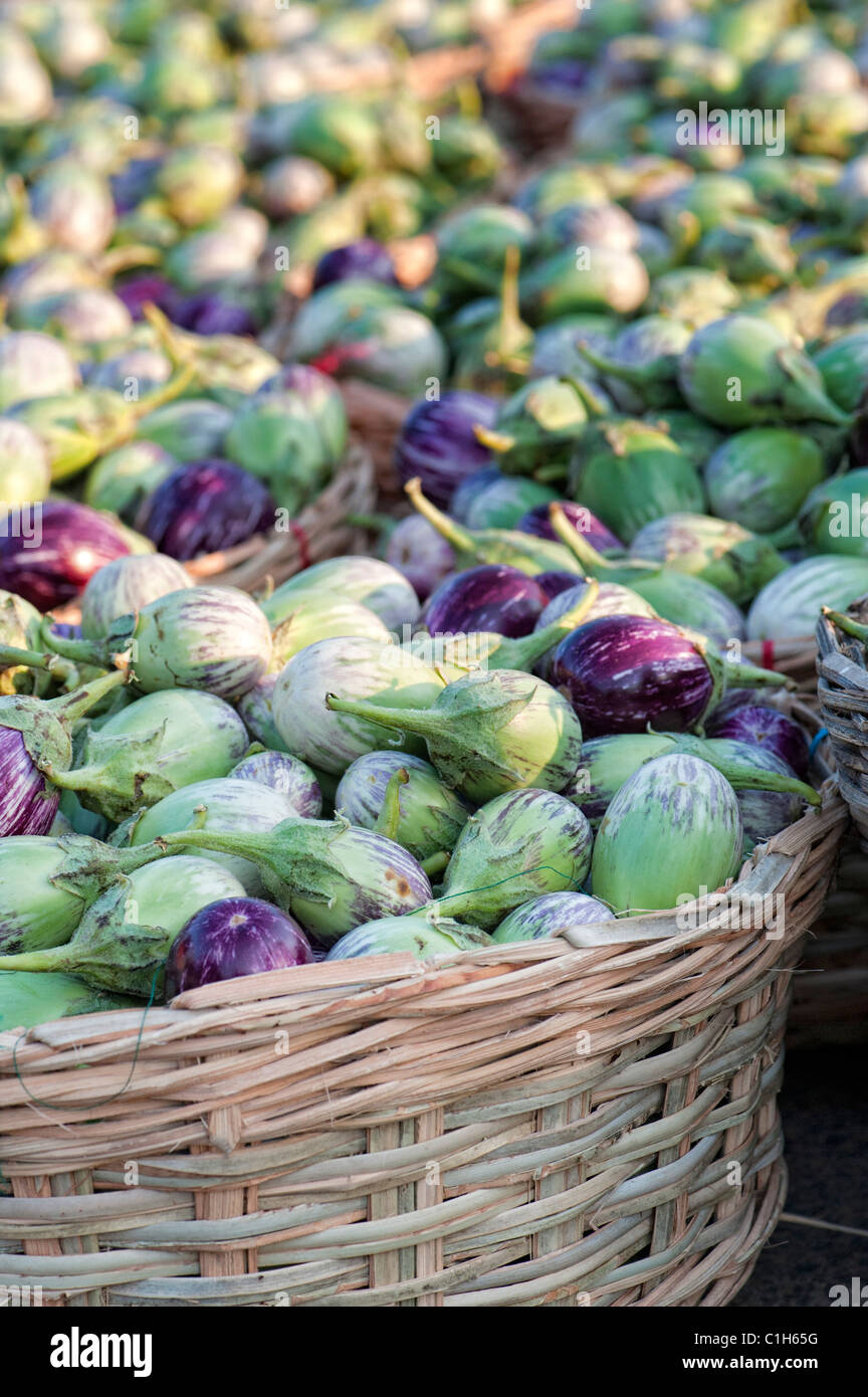 Indian vegetables. Eggplant / Aubergine or Brinjal in baskets at an ...